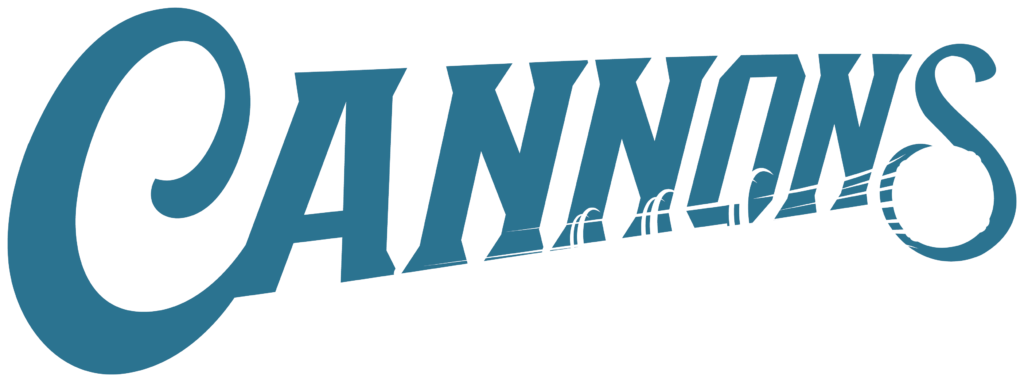 Custom Online Store - TW Custom Branding